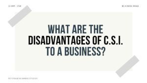 10 Disadvantages of CSI to the Business - Negative Impact