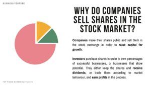 Functions of the JSE: Johannesburg Stock/Securities Exchange