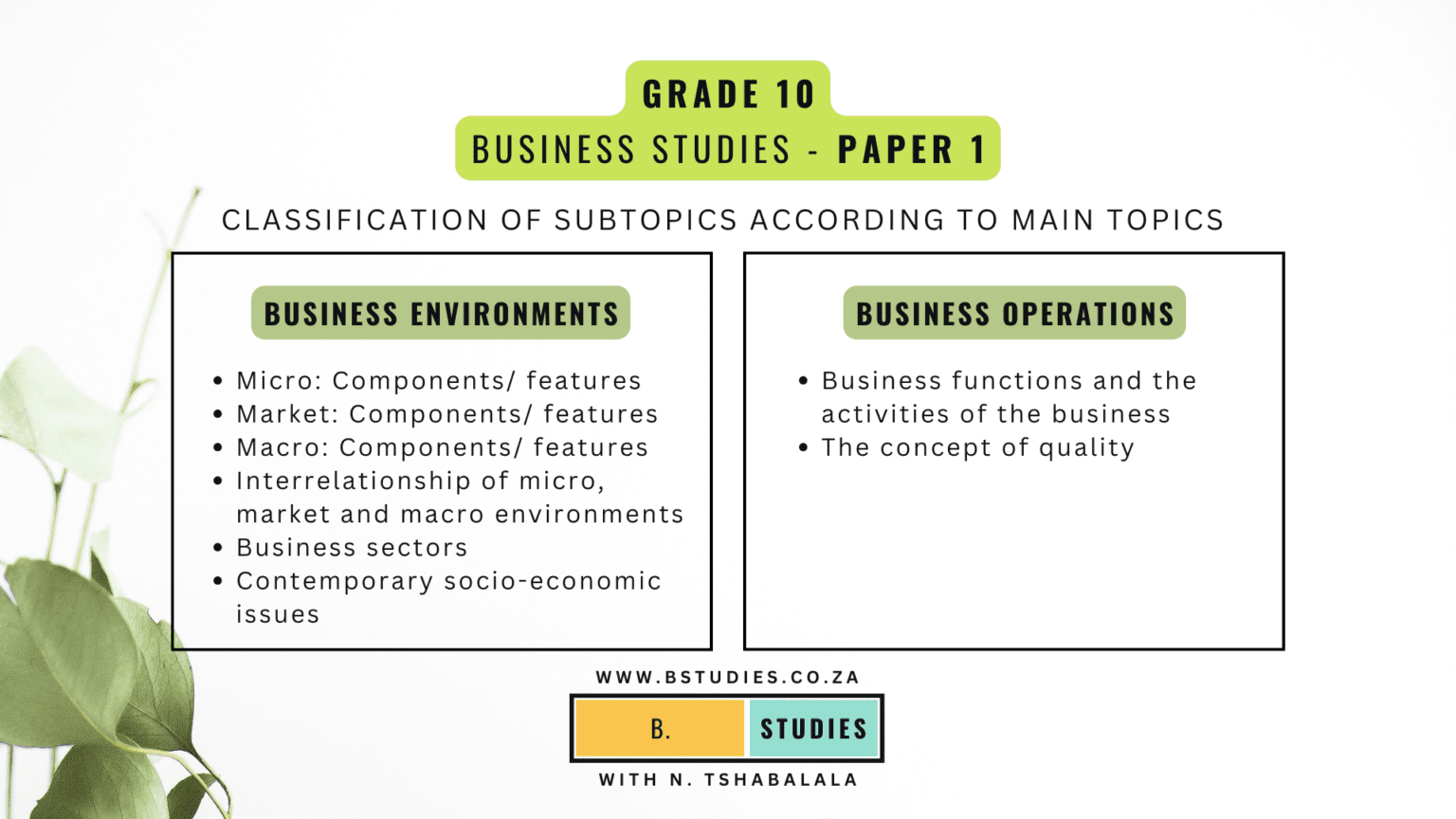 Breakdown of Subtopics and Exam Scope | FET Phase Business Studies