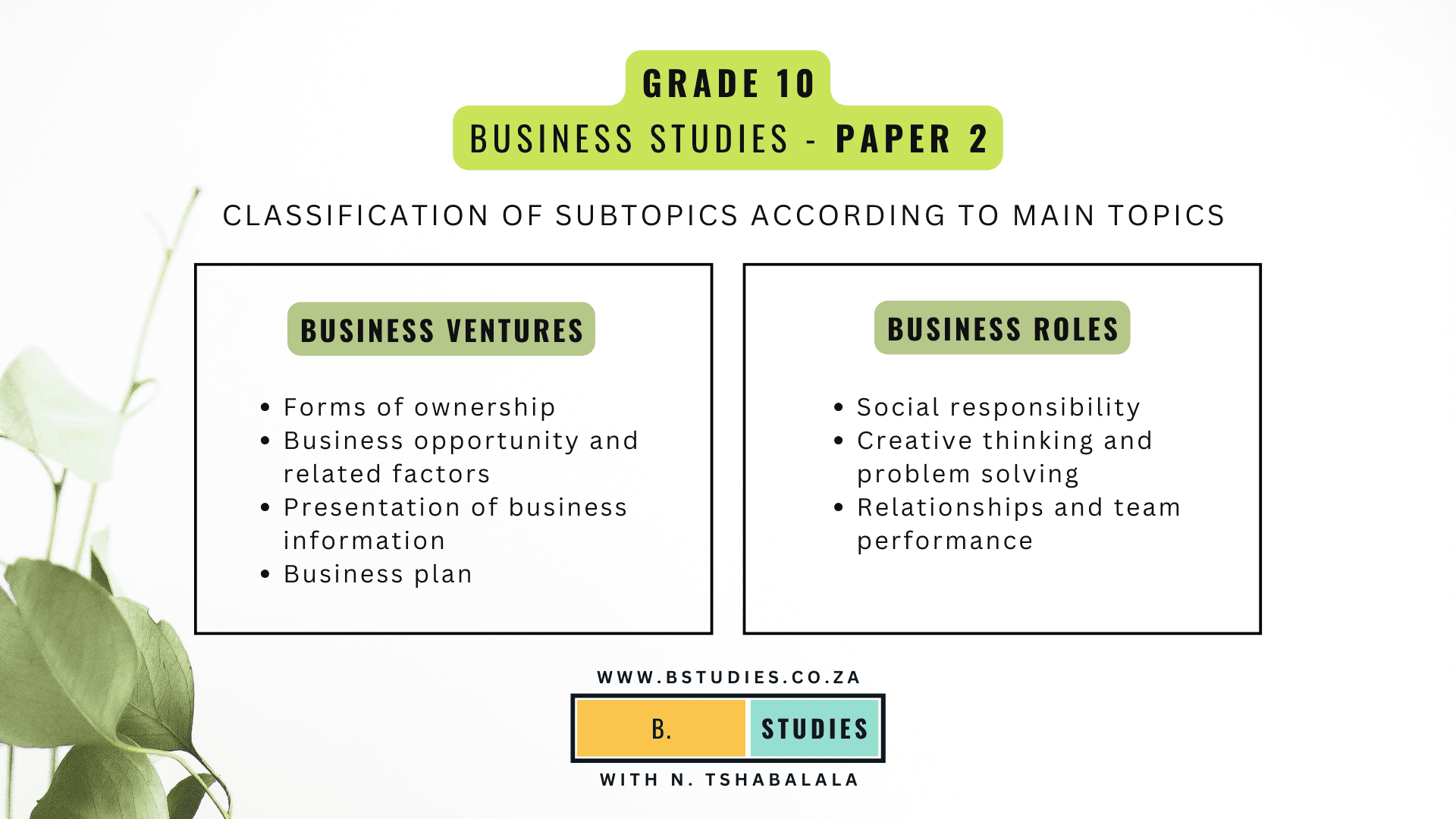 Breakdown of Subtopics and Exam Scope | FET Phase Business Studies